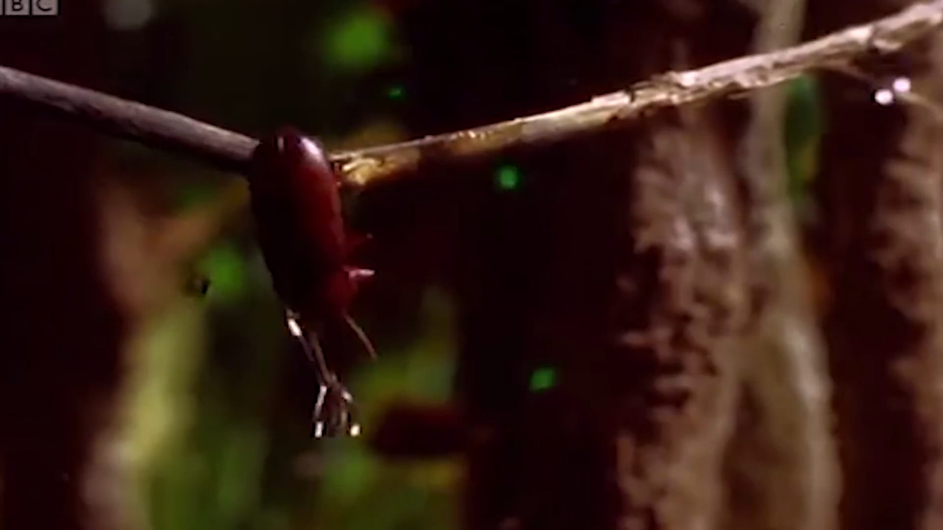 Why some elemental types consistently outperform the rest