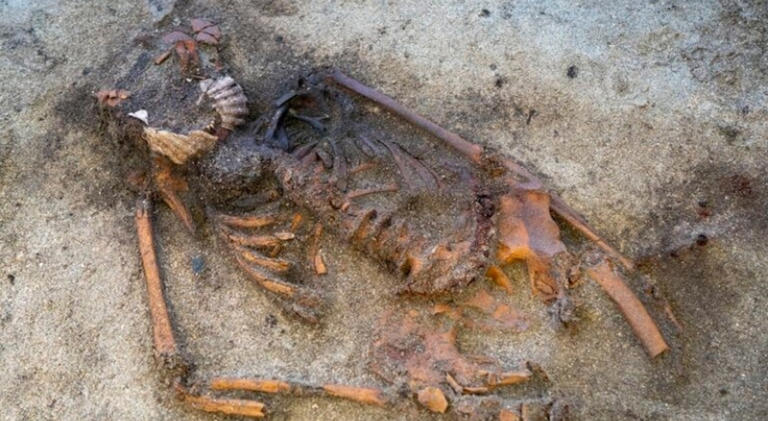 Trova una tomba vichinga di 1200 anni fa con il metal detector, gli ...