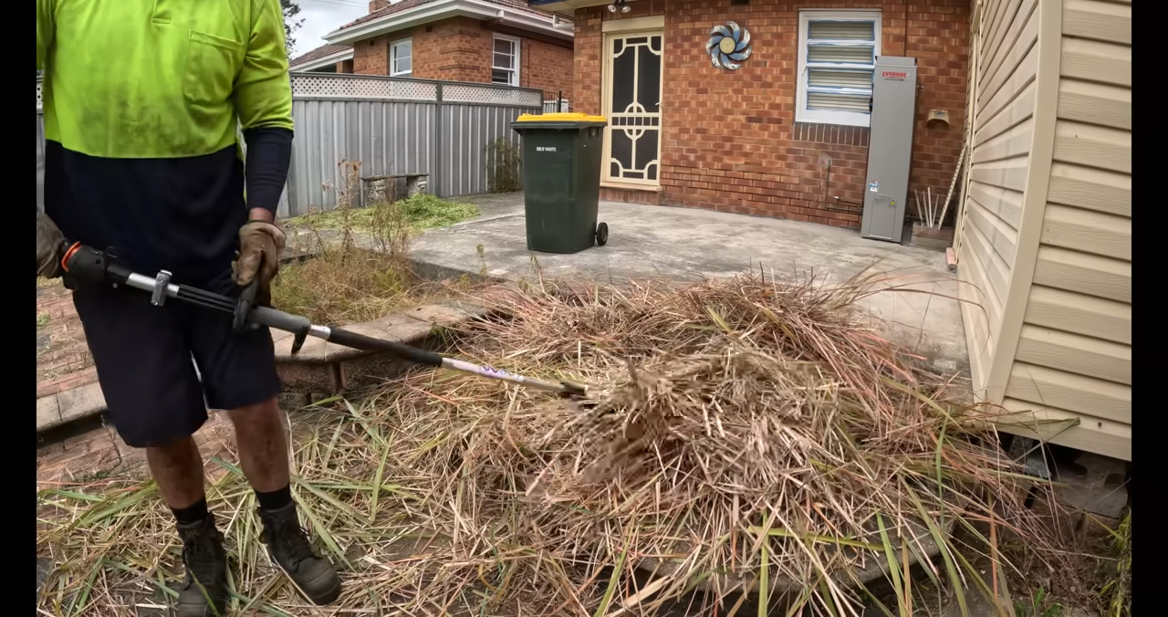 What happens when you don’t rush a yard cleanup