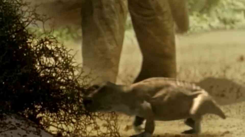 How Earth’s systems once failed all at the same time