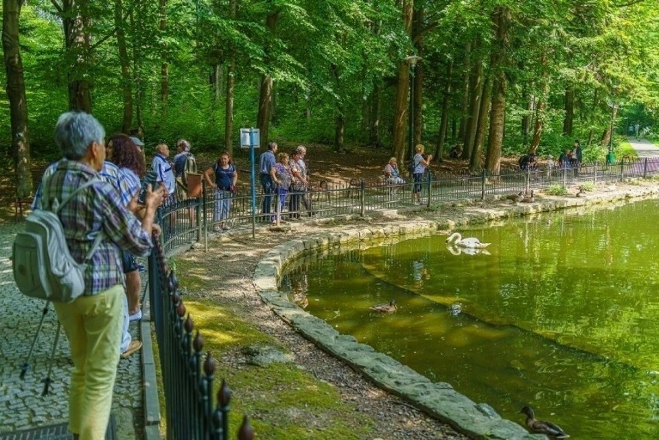 To miejsce w Krynicy-Zdroju zna każdy. Park Zdrojowy prowadzący na Górę ...