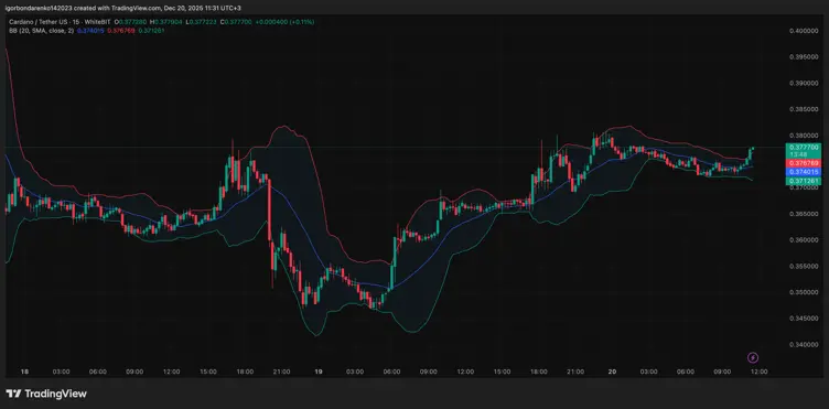 Next crypto to explode: Top 3 altcoins with strong whale activity