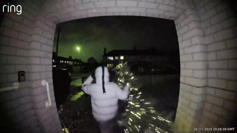 Doorbell cam catches real-life Grinch stealing Christmas tree