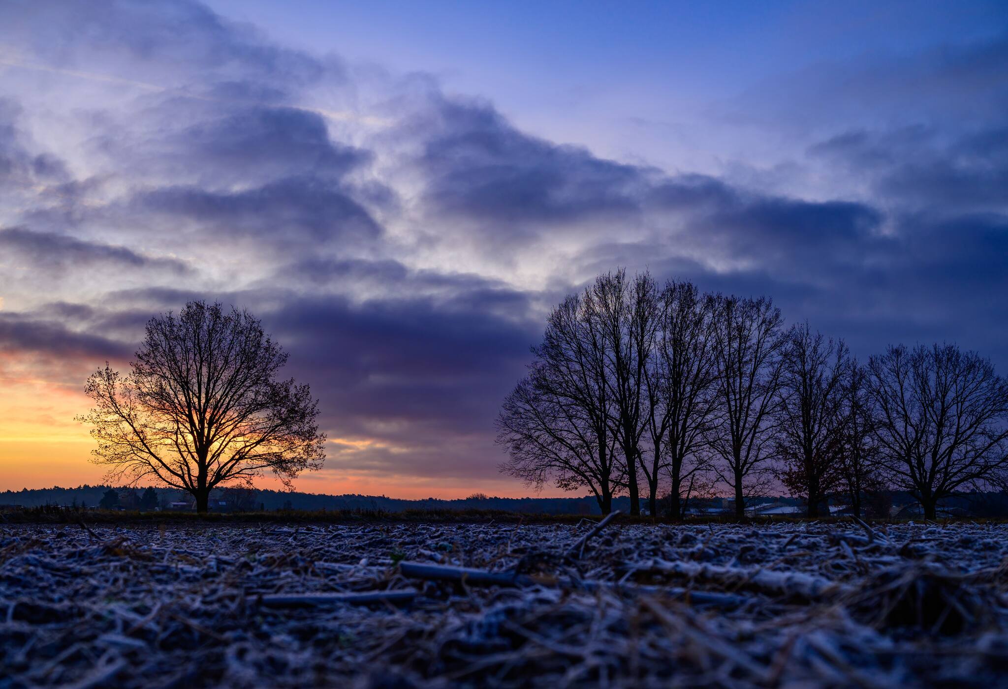 Wetter in Brandenburg: Frostige Weihnachtstage bei bis zu minus zehn Grad
