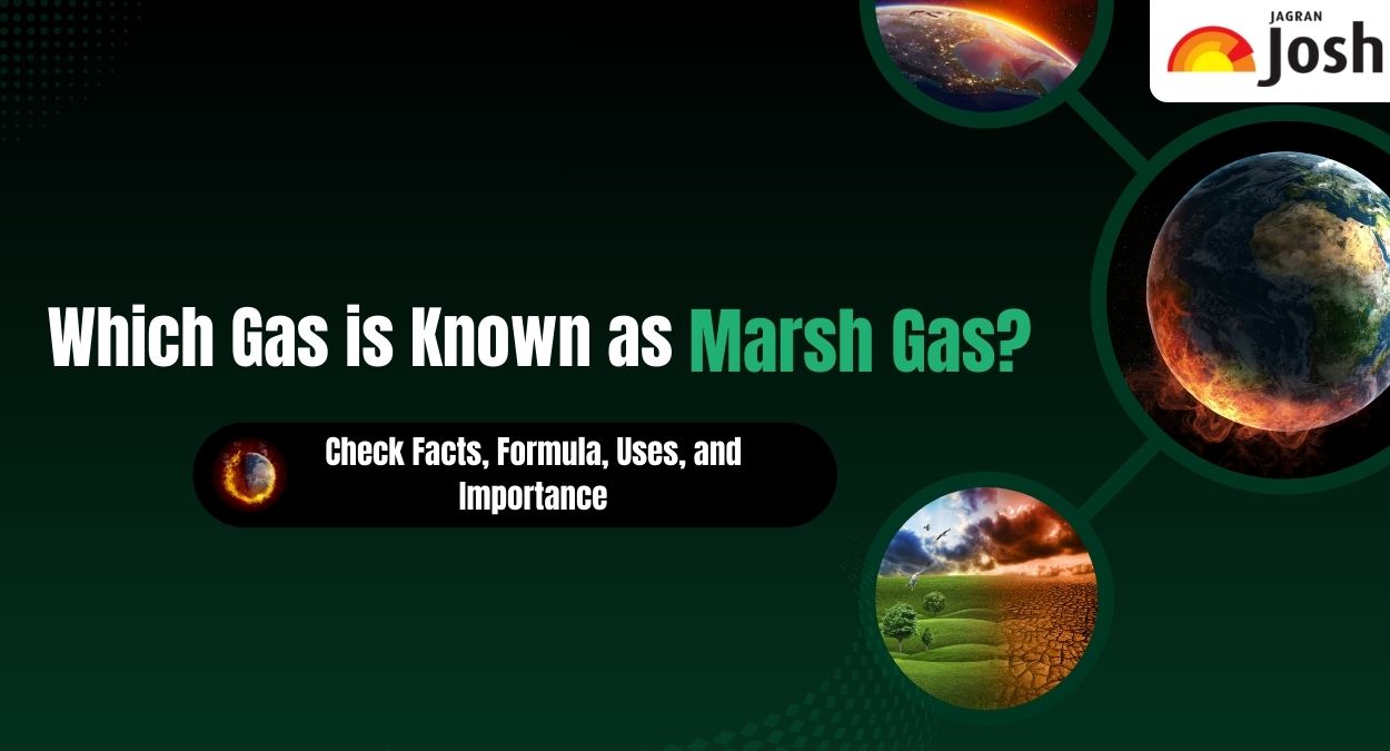 Which gas is known as marsh gas? Check facts, formula, uses, and importance