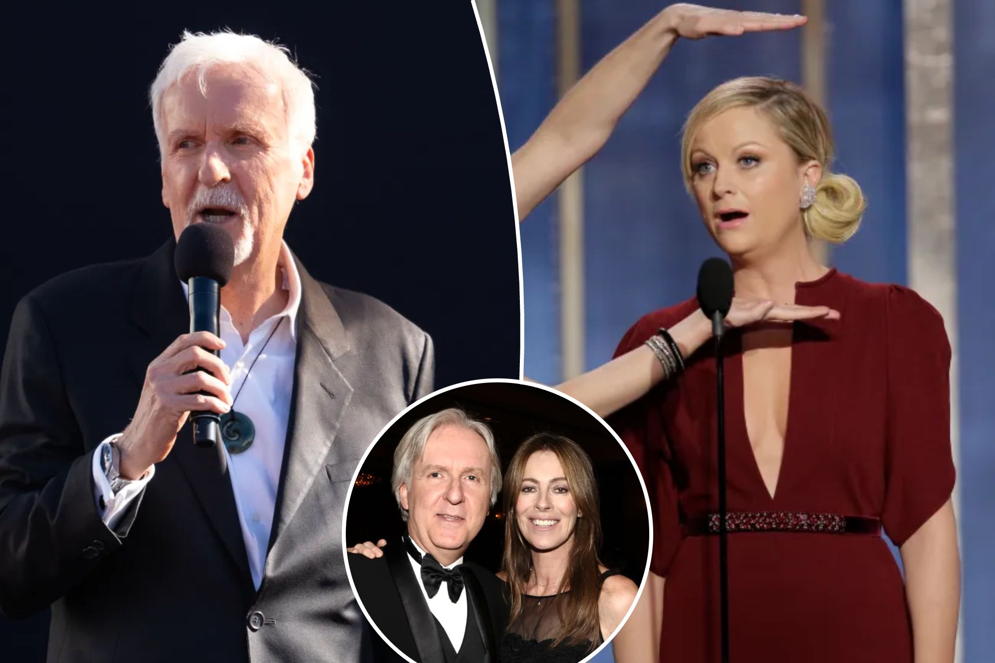 James Cameron breaks silence on Amy Poehler’s 'ignorant dig' at 2013 ...
