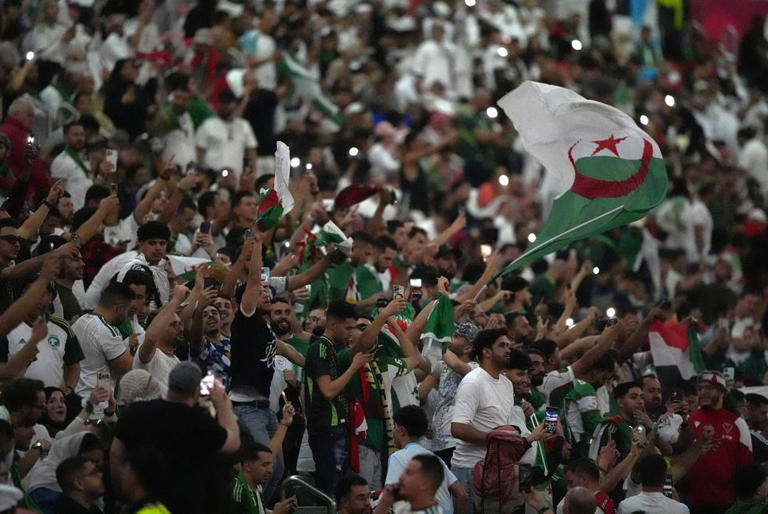 Algérie - Soudan : Le Maroc, territoire ami ou hostile pour les Fennecs ...