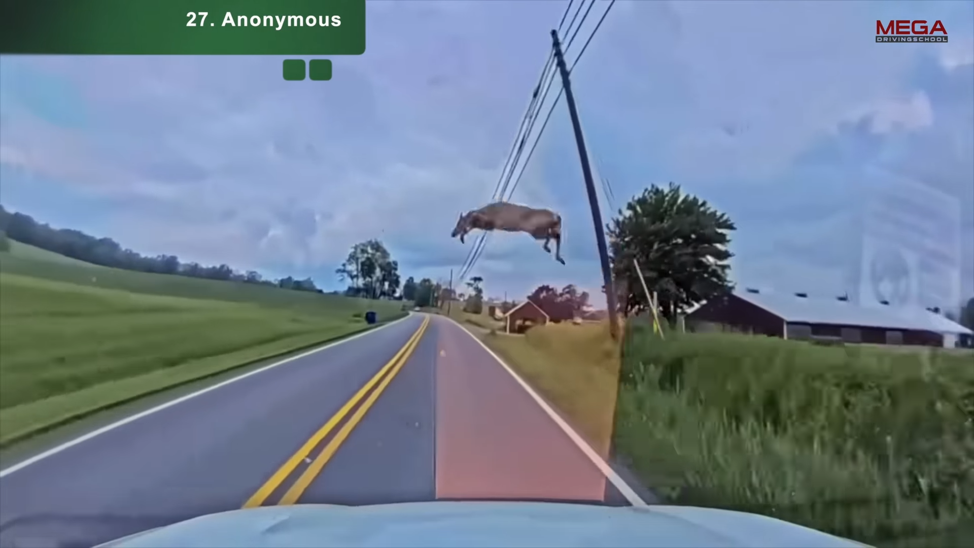 Watch the moment a deer jumps across the road without warning