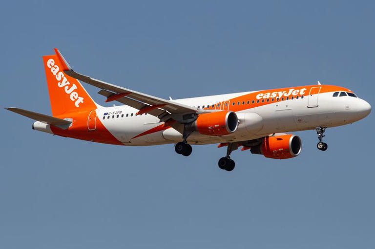 Man sat next to 'dead gran taken onto easyJet flight' hits back at ...