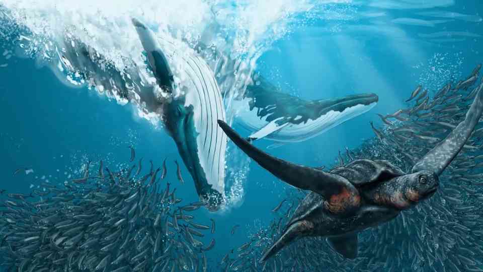 The ocean predator from prehistory that rewrote the food chain