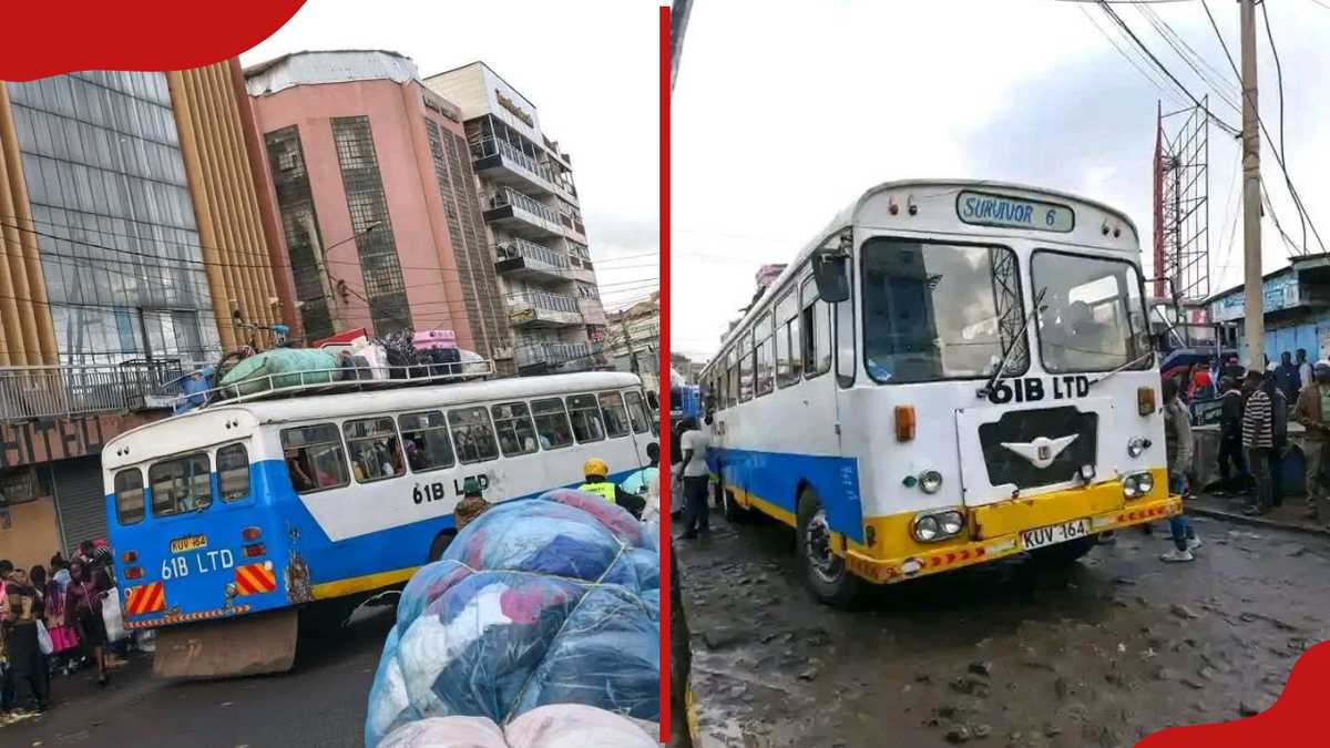 Survivor 9: Kenyans excited as old bus successfully reaches Busia from ...