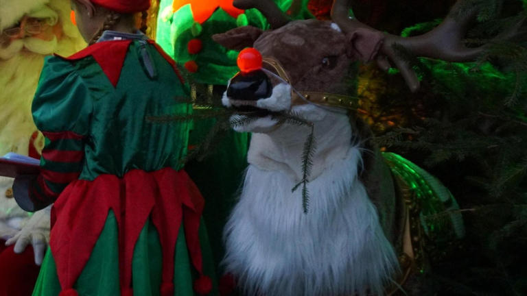 Gesundheit statt Spielzeug: Das wünschen sich Kinder im Harz zu Weihnachten