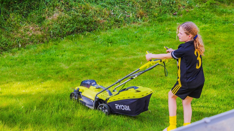 Ryobi VS DeWalt lawn mower: The pros & cons of each