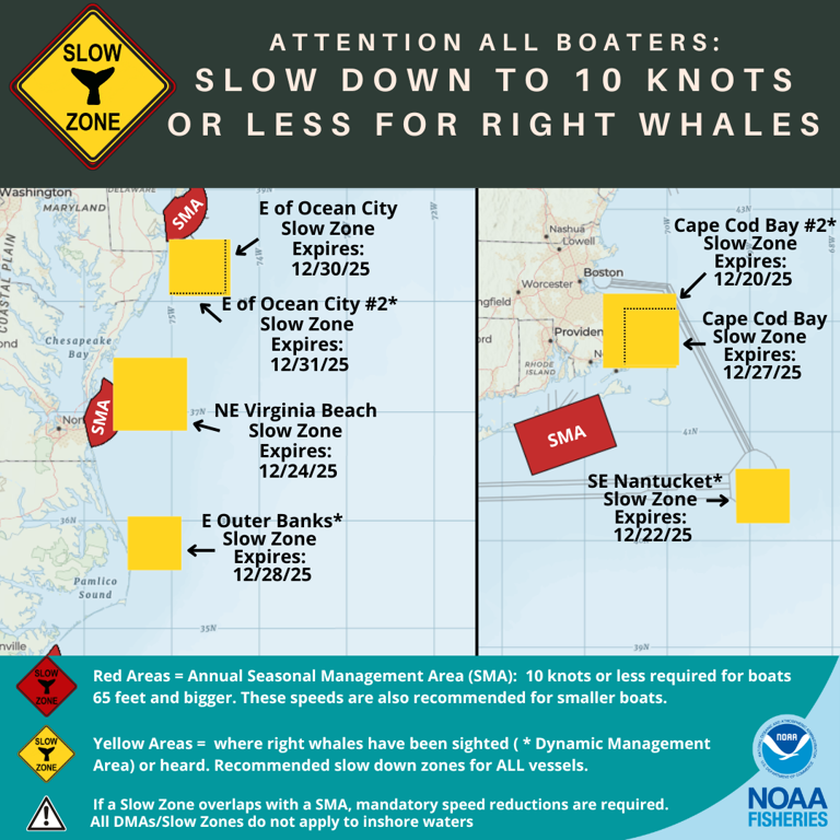 Right whale sighting east of Ocean City, MD: 'Slow zone' in effect