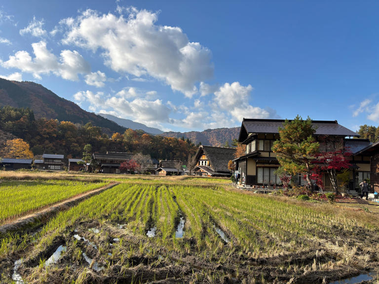 This overlooked region offers a calmer, richer side of Japan