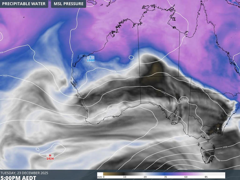 Grim Xmas forecast to hit millions