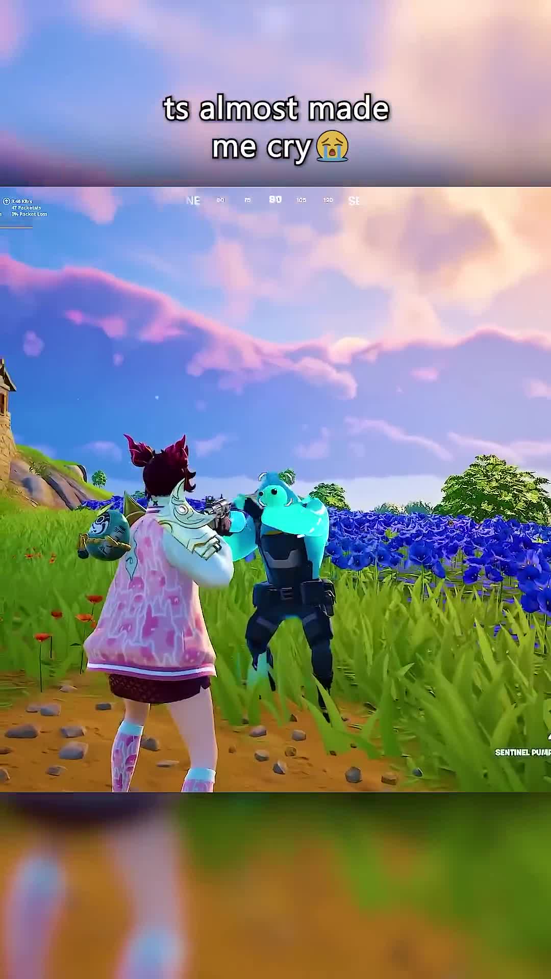 The sprite thought I was a NPC