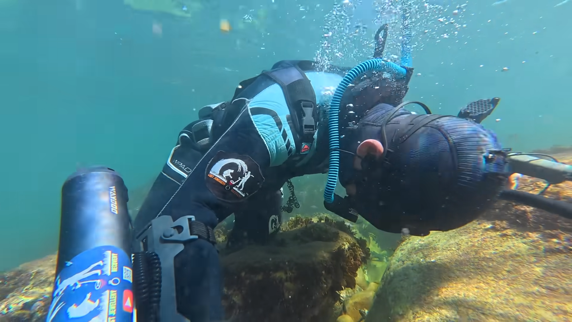 The ocean looked harmless - until the deadliest octopus appeared