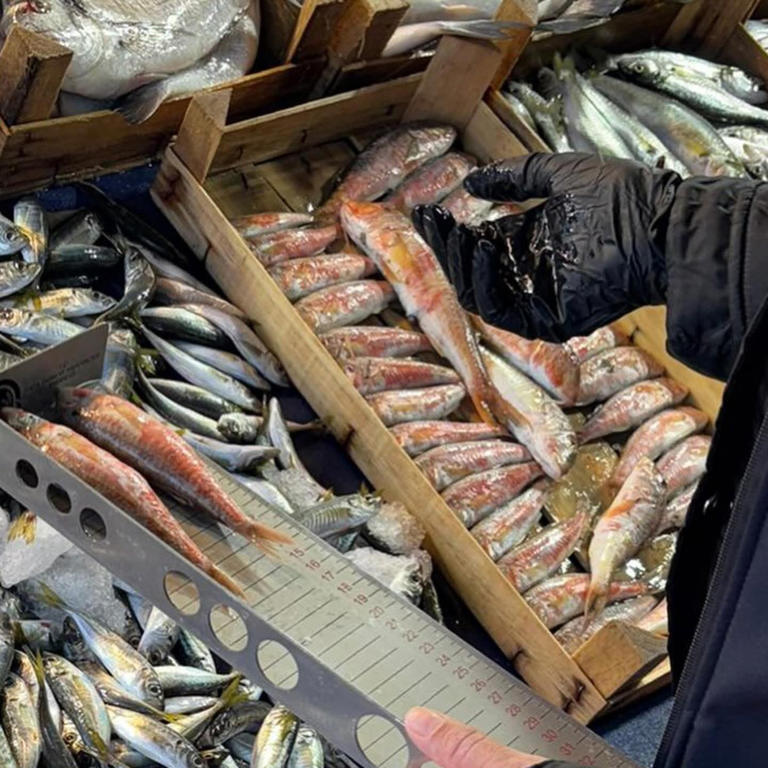 Tekirdağ’da perakende balık satış noktalarına sıkı denetim