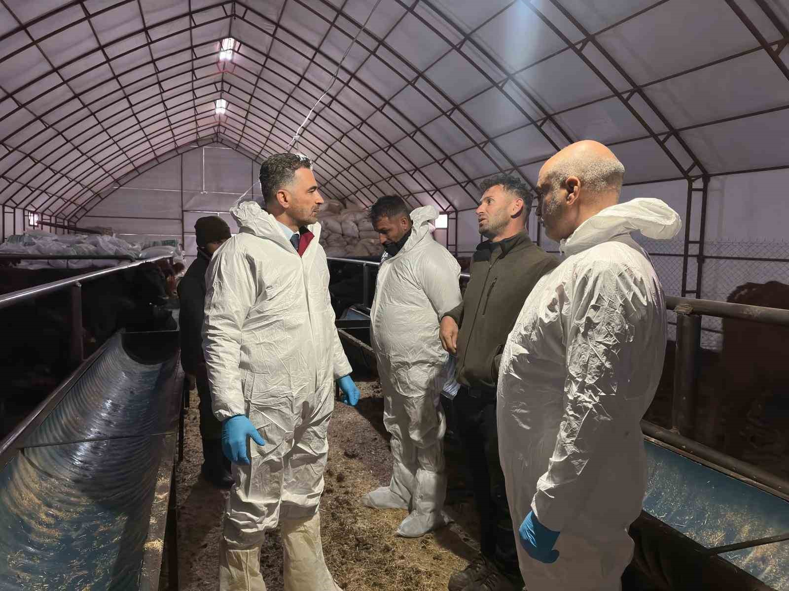 Pertek’te kırsala bereket: Genç veterinere hayvancılık desteği