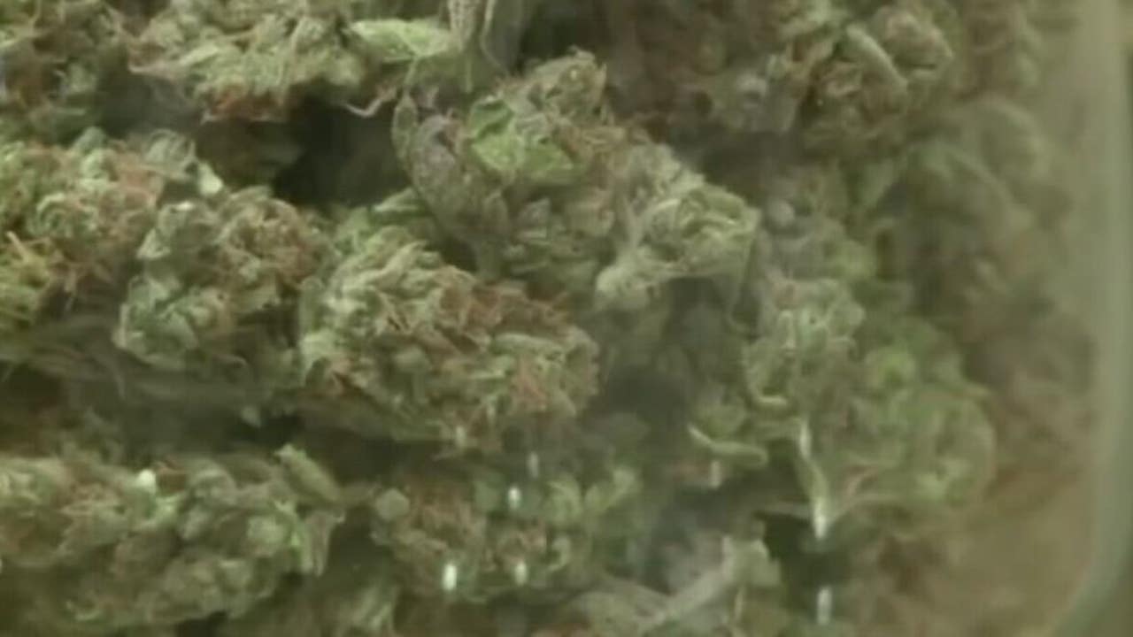 Michigan marijuana company cites 24% tax as a reason for closing ...