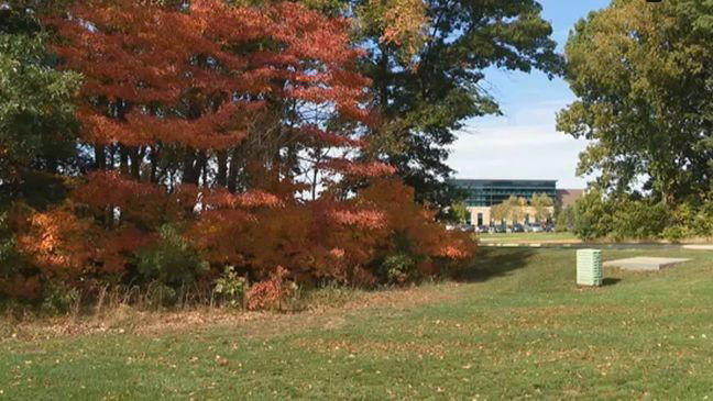 New foresting plan to bring more tree coverage to Buchanan