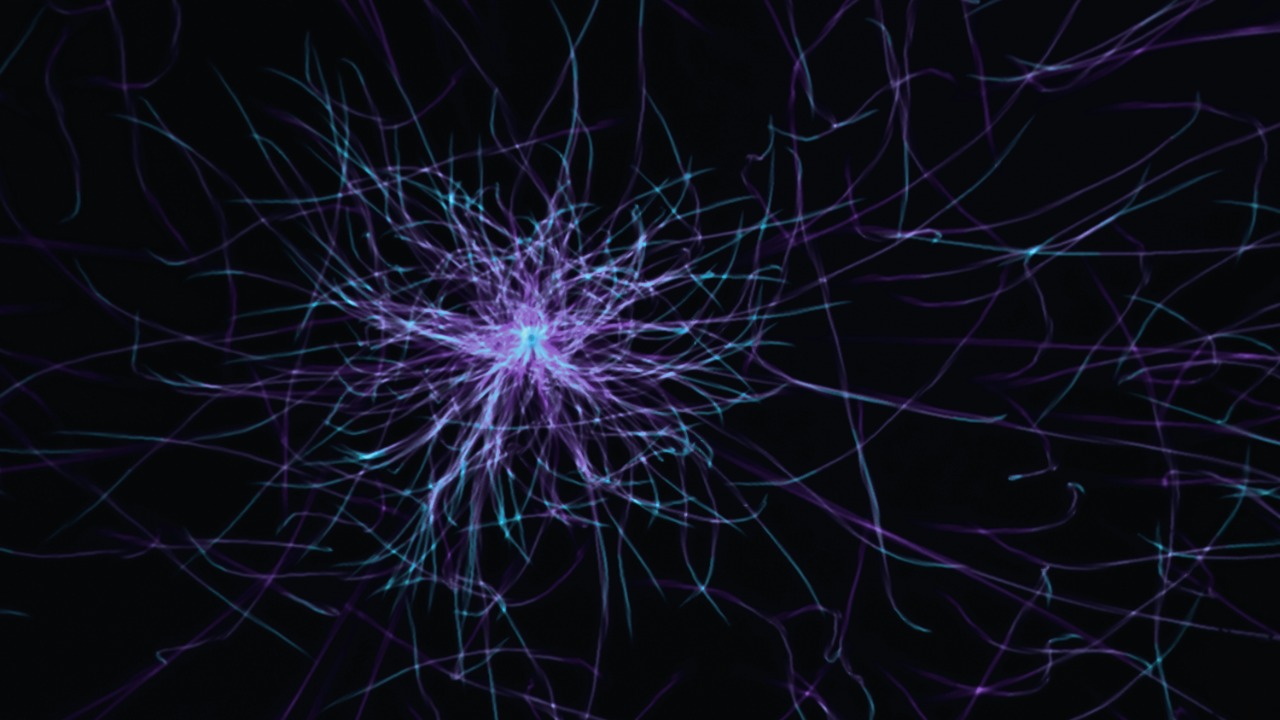 Glowing neurons let scientists watch brains work in real time