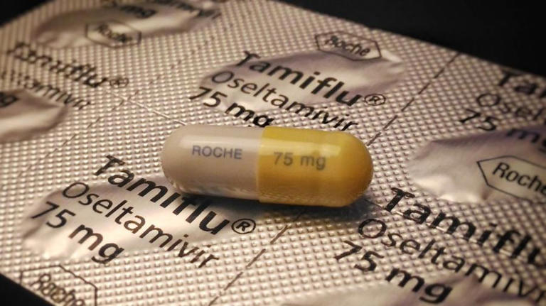 Gripe H3N2 en Argentina: qué remedio conocido puede ser útil y en qué ...