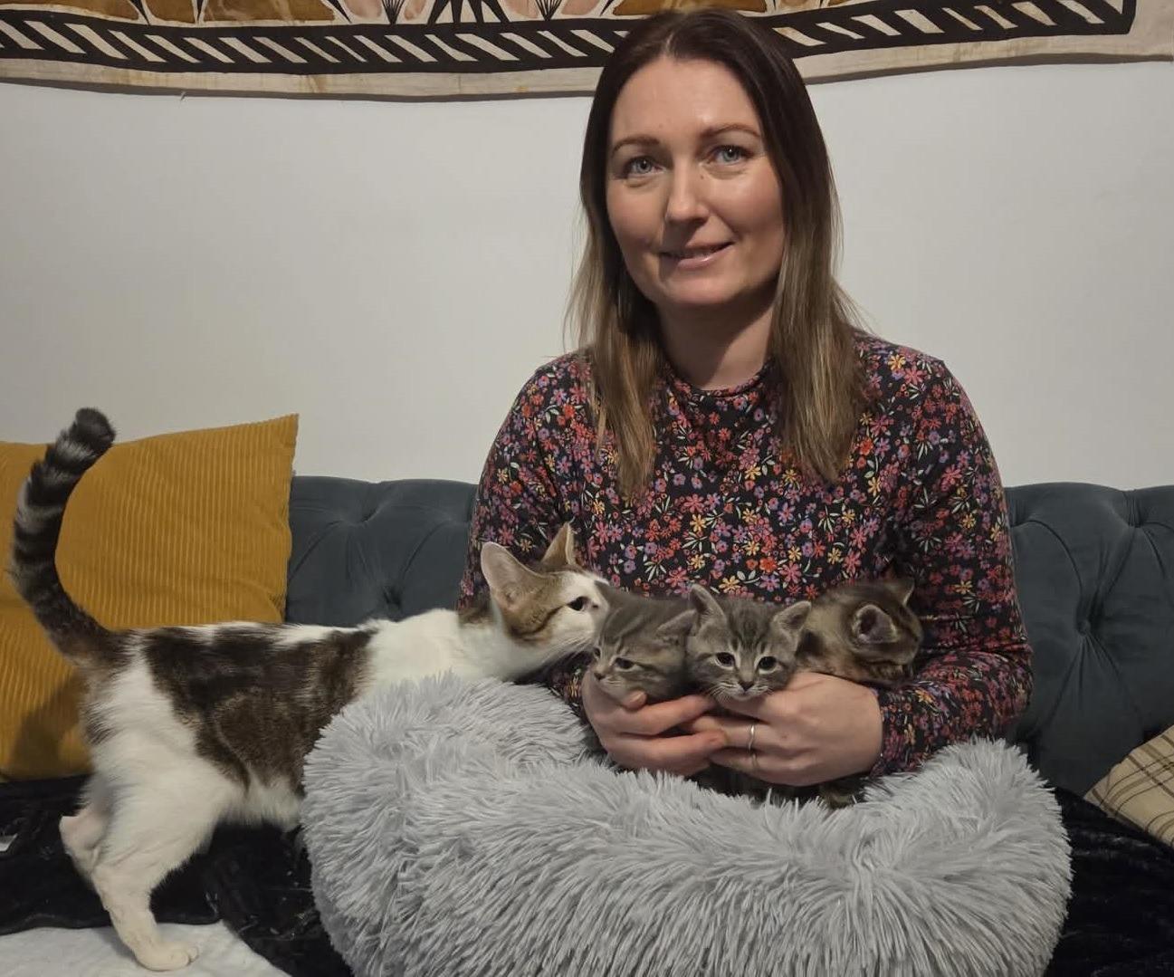 Chesterfield cat rescuer shares heart-tugging tales as she appeals for ...