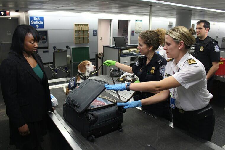 Things to never say to a TSA agent at the airport