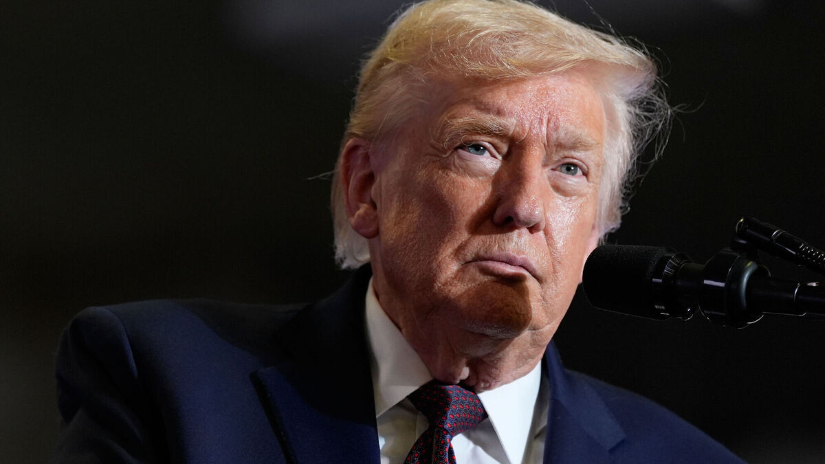 Trump flew alone on jet with Epstein and unnamed 20-year-old, files suggest