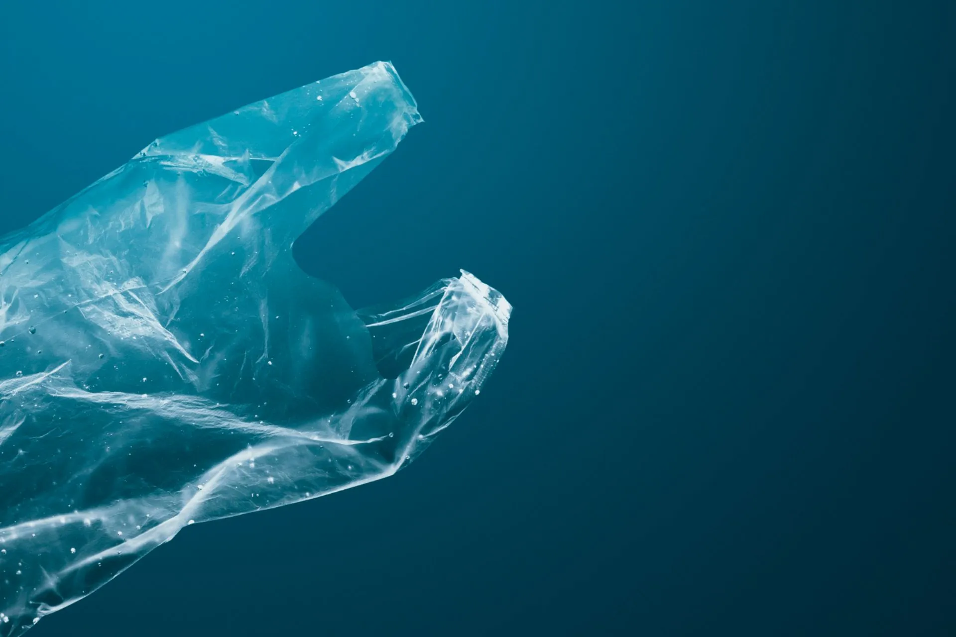 Plastica vegetale che si dissolve in mare: la soluzione contro l ...
