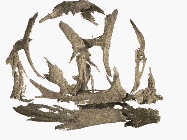 Scientists reveal first-ever look inside 200-million-year-old dinosaur ...