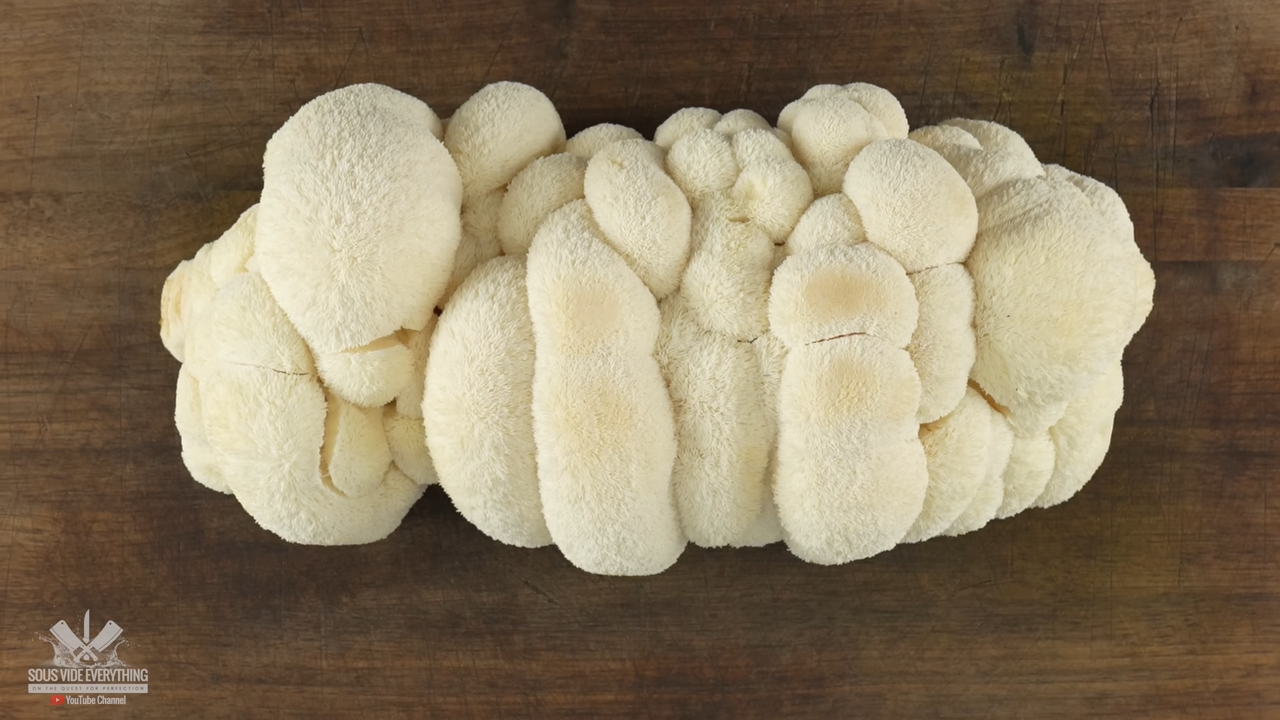 Why this strange 'meat' is actually famous for supporting brain health