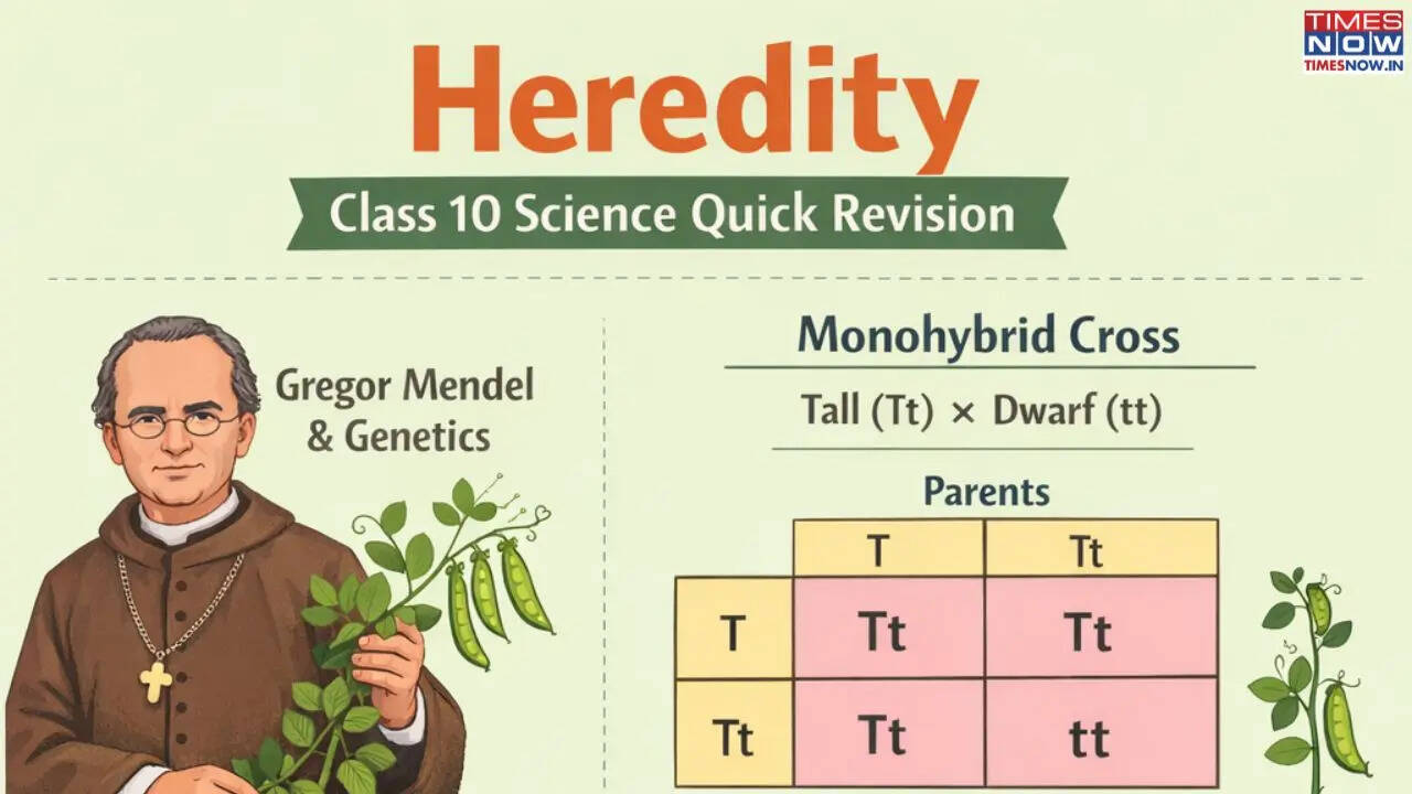 CBSE board exams 2026: Quick notes, sample questions for 'Heredity' in ...