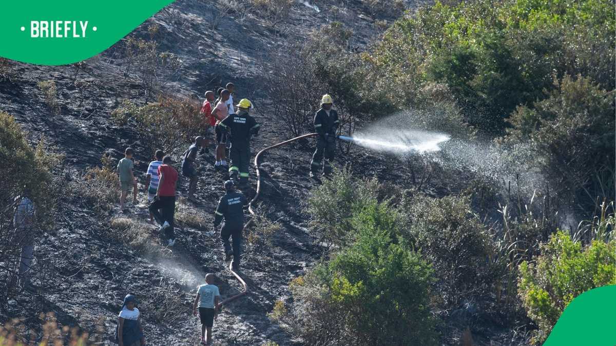 Wildfires in Overberg and Kommetjie prompt safety warning from Western ...