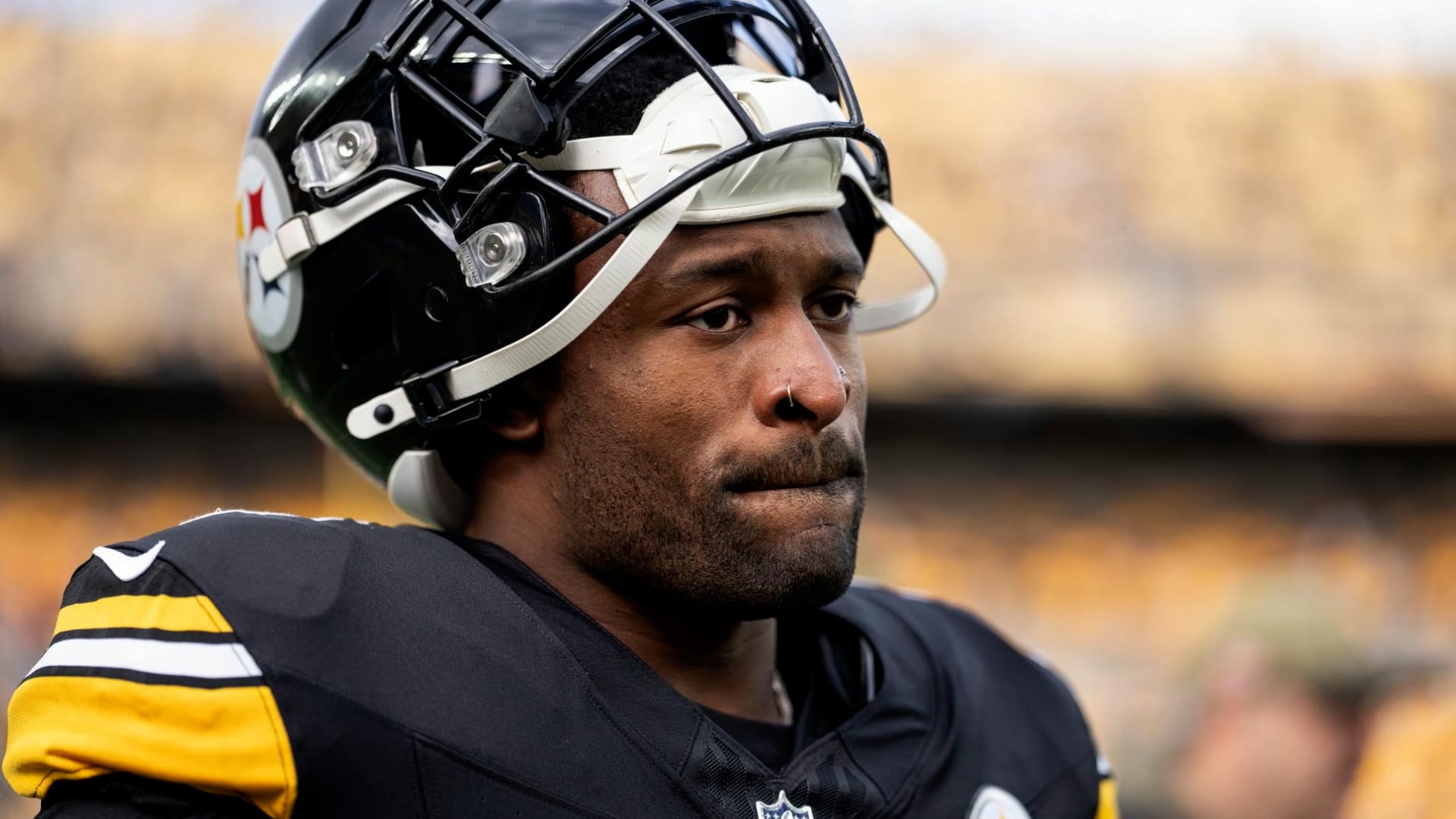 Steelers' DK Metcalf suspended for two games after fan altercation