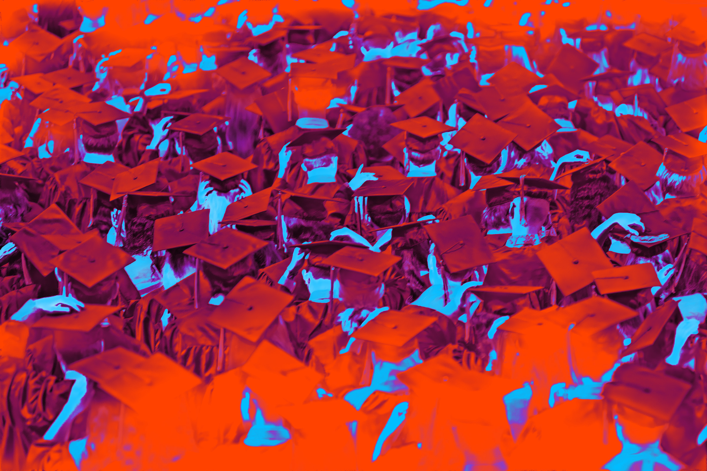 Top software engineering students can’t get a job because of AI