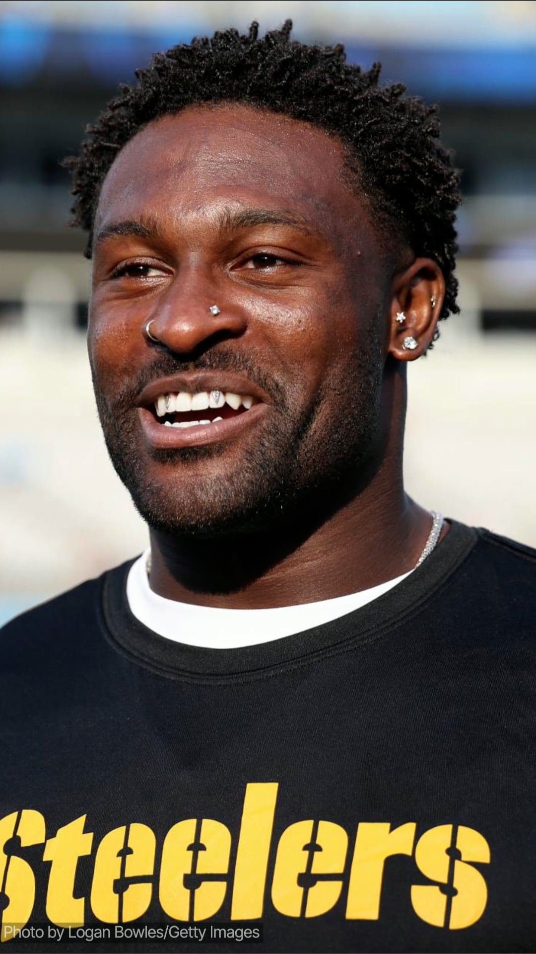 Steelers' Metcalf suspended for two games after fan altercation