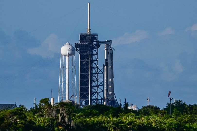 Trump considers giving a 775-acre federal wildlife refuge to Elon Musk ...