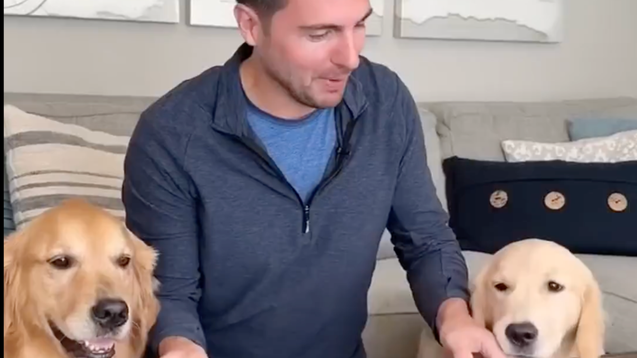 The gold play button finally arrived!