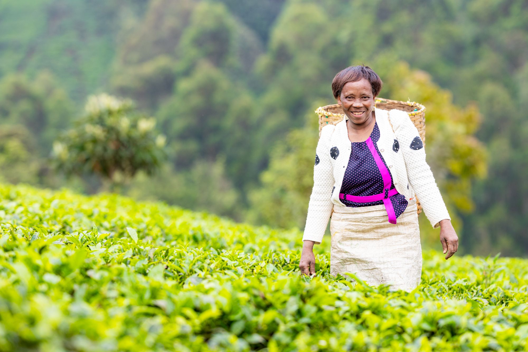 The climate crisis is making young Kenyans turn their backs on farming