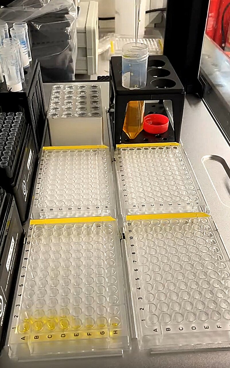 Robotic system synthesizes hundreds of metal complexes to find ...