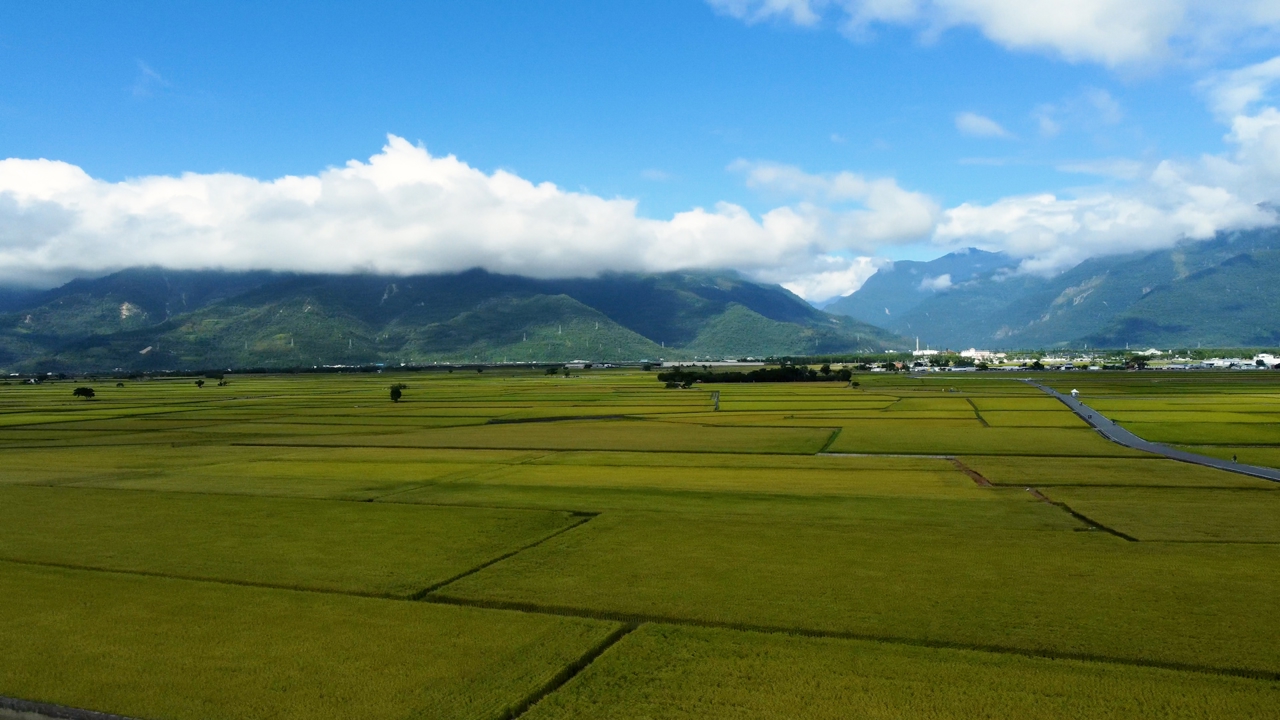Where rice fields become a stage: Taitung, part 2 | TaiwanPlus News