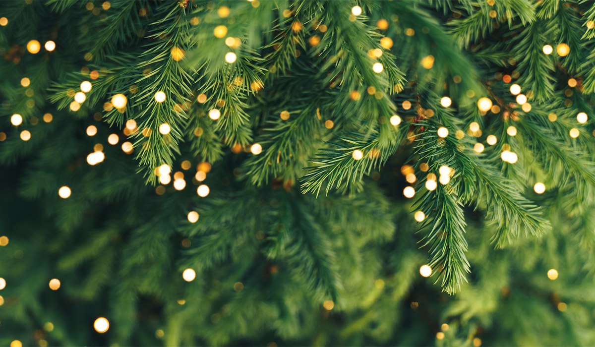 Waterford’s Christmas spirit shines as WLR appeal raises €107,000