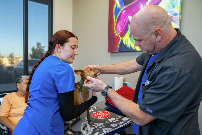Firehouse Animal Health Centers donate vet care for struggling families