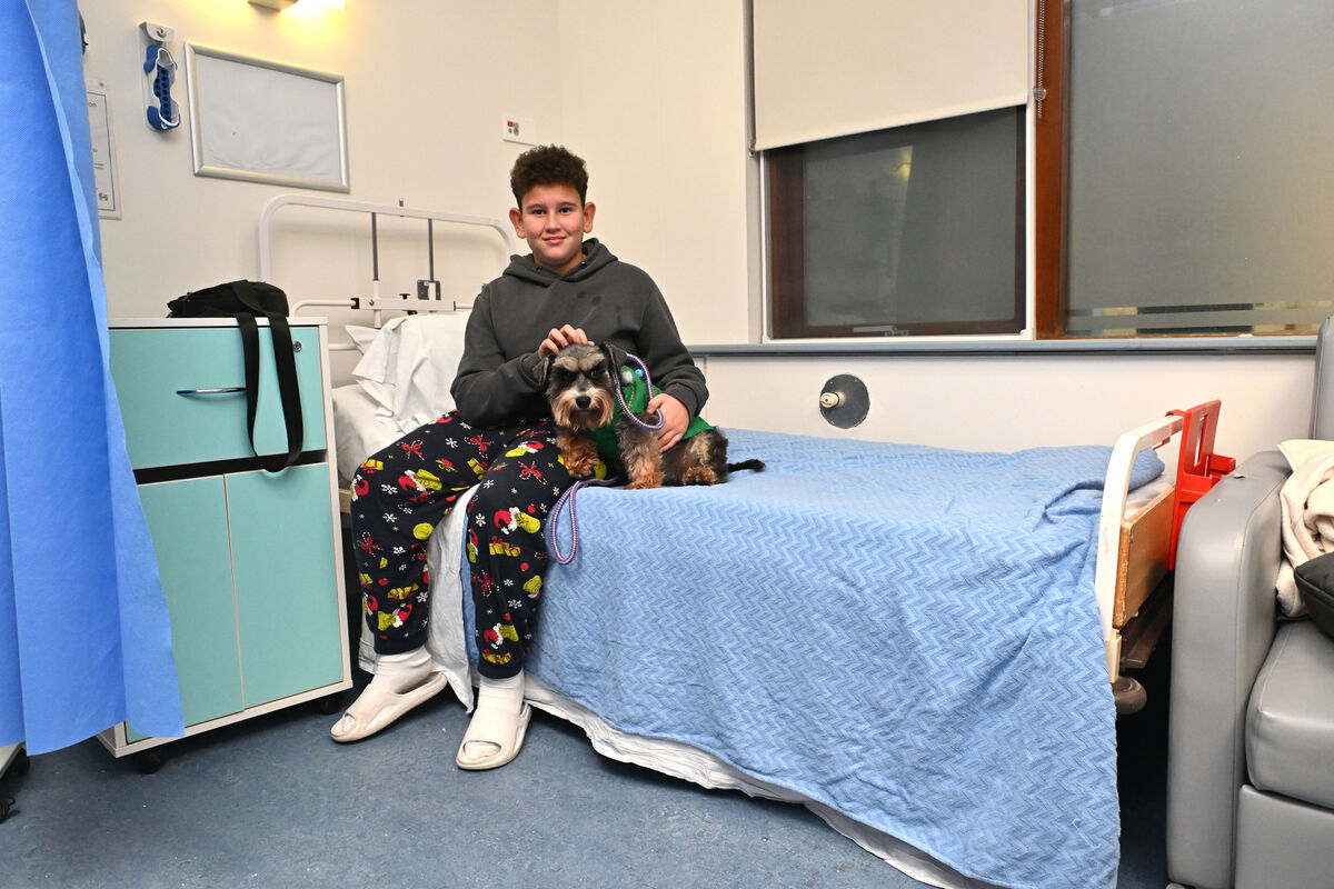 'It's amazing for the kids': Meet Bella the therapy dog at UHL