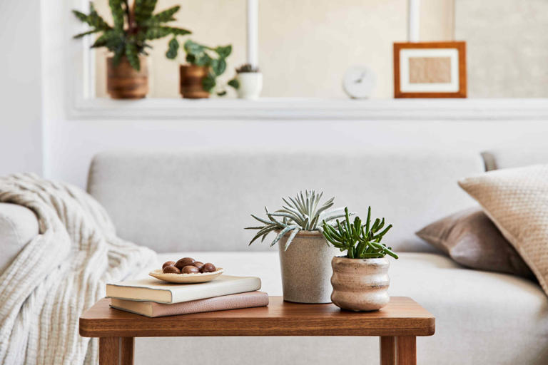 8 messy things you should remove from your coffee table before guests ...