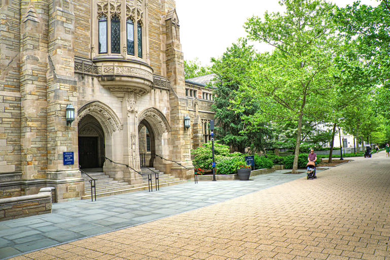 Trump is getting rid of a key student-loan program. Yale has a replacement.