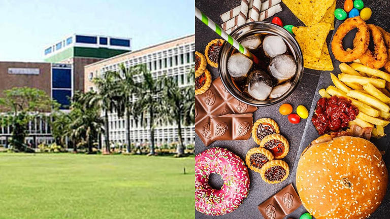 Amroha class 11 student dies after excessive fast food consumption ...